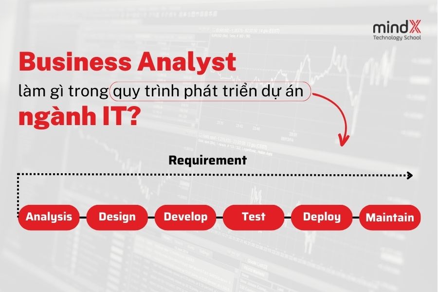BA là gì trong IT? Vai trò & các kỹ năng của IT Business Analyst ...